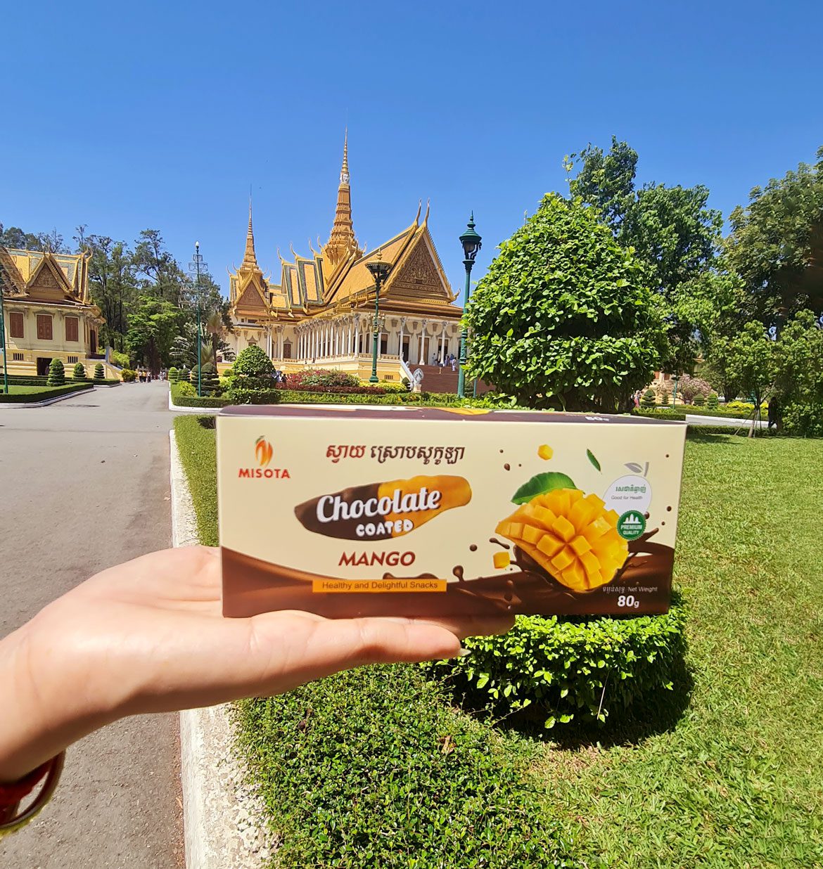 Chocolate-coated Dried Fruits - Misota Group