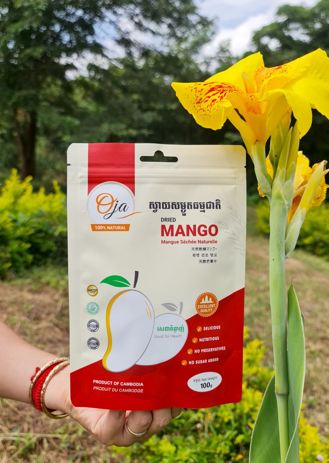Natural dried mango - Misota Group